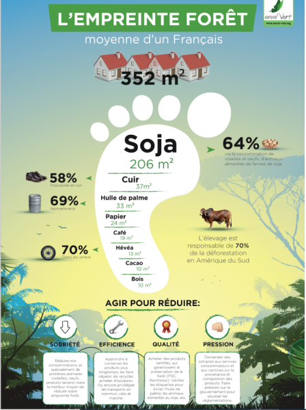 Fichier:Empreinte foret moyenne d'un français.png — Le wiki du climat